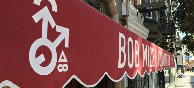 Character analysis revealed the core of Mizer's models